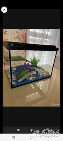 Черепаха с аквариумом