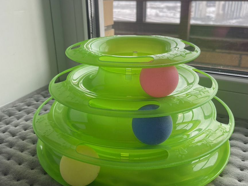 Для котенка
