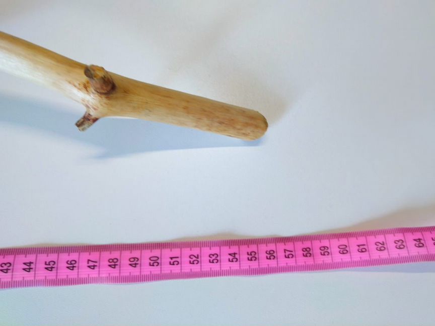 Коряги для террариума и декора