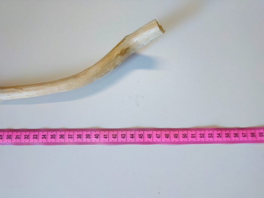 Декоративные коряги для террариума