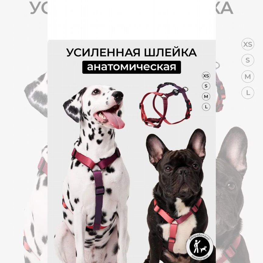 Шлейка для собаки