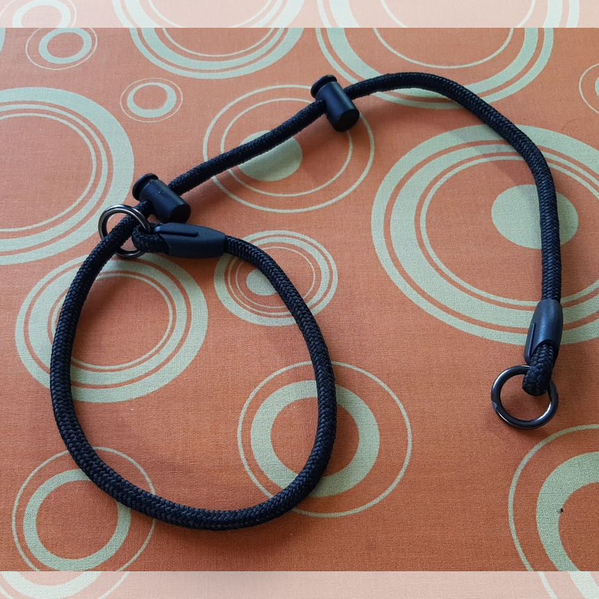 Ошейник-контроллер для собак