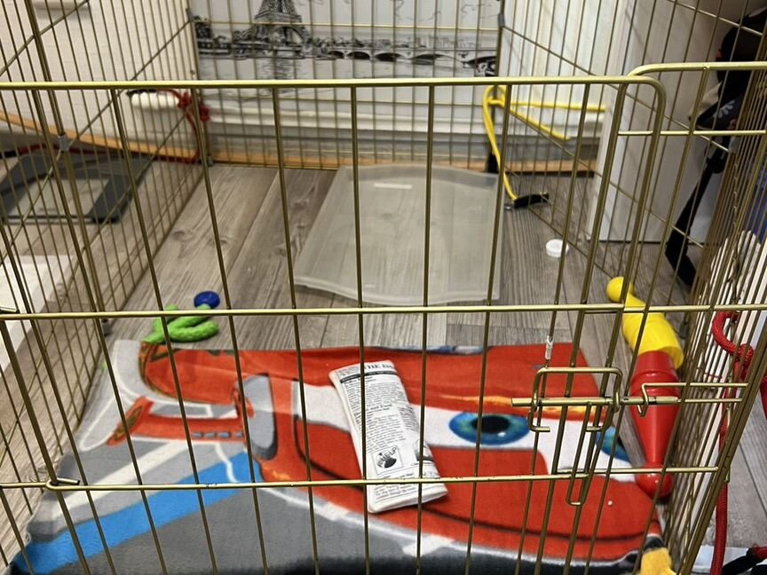 Вольер для щенков в квартиру