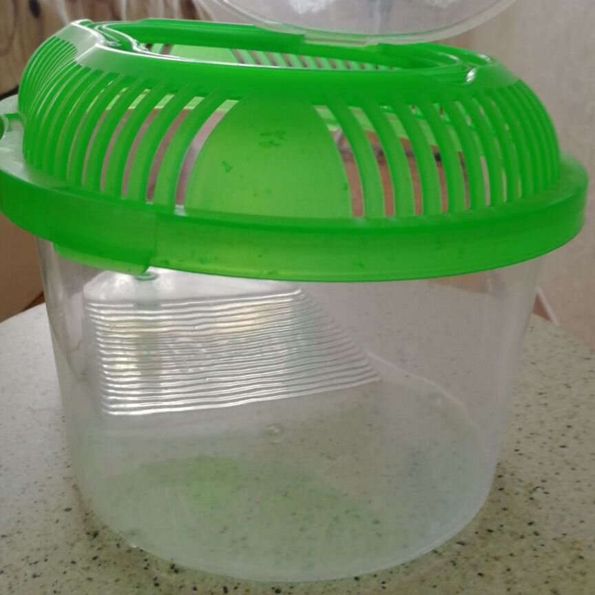 Терариум для мини черепахи