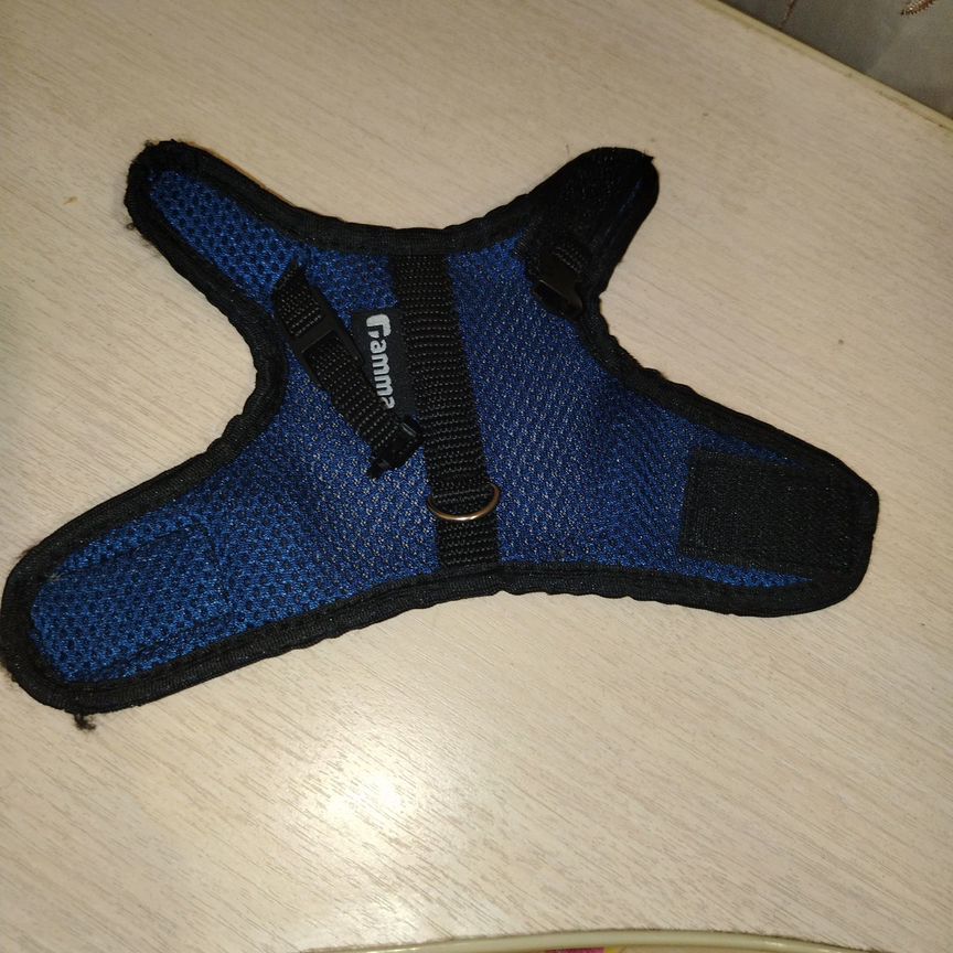 Шлейка для крысы