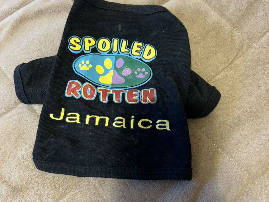 Одежда для собак