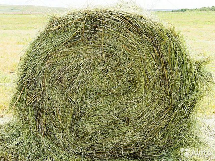 Сено луговое, люцерна в рулонах, 2023 год