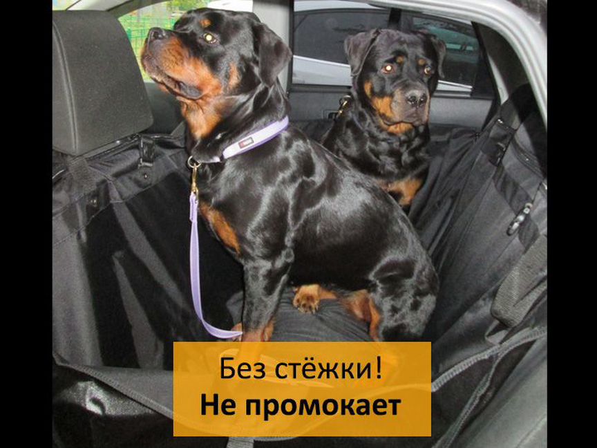 Автогамак для перевозки больших собак. Томас