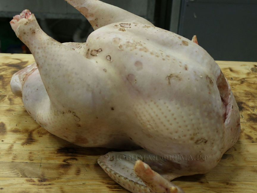 Мясо индейки