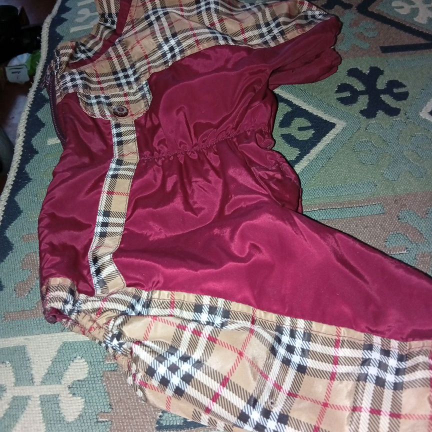 Одежда для собак мелких пород