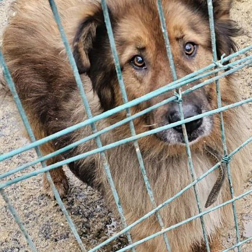 Пожизненное заключение невиновному