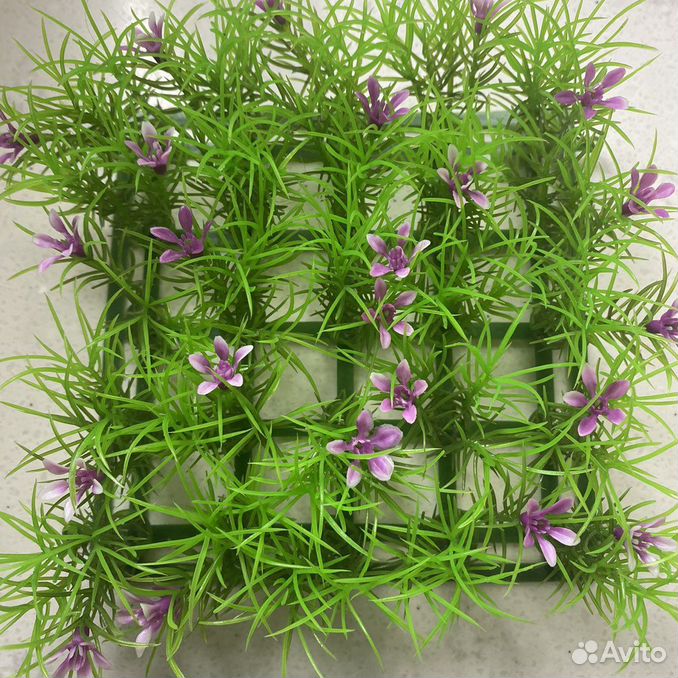 Травка в аквариум