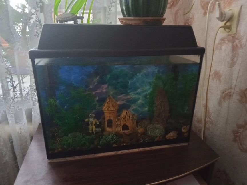 Аквариум