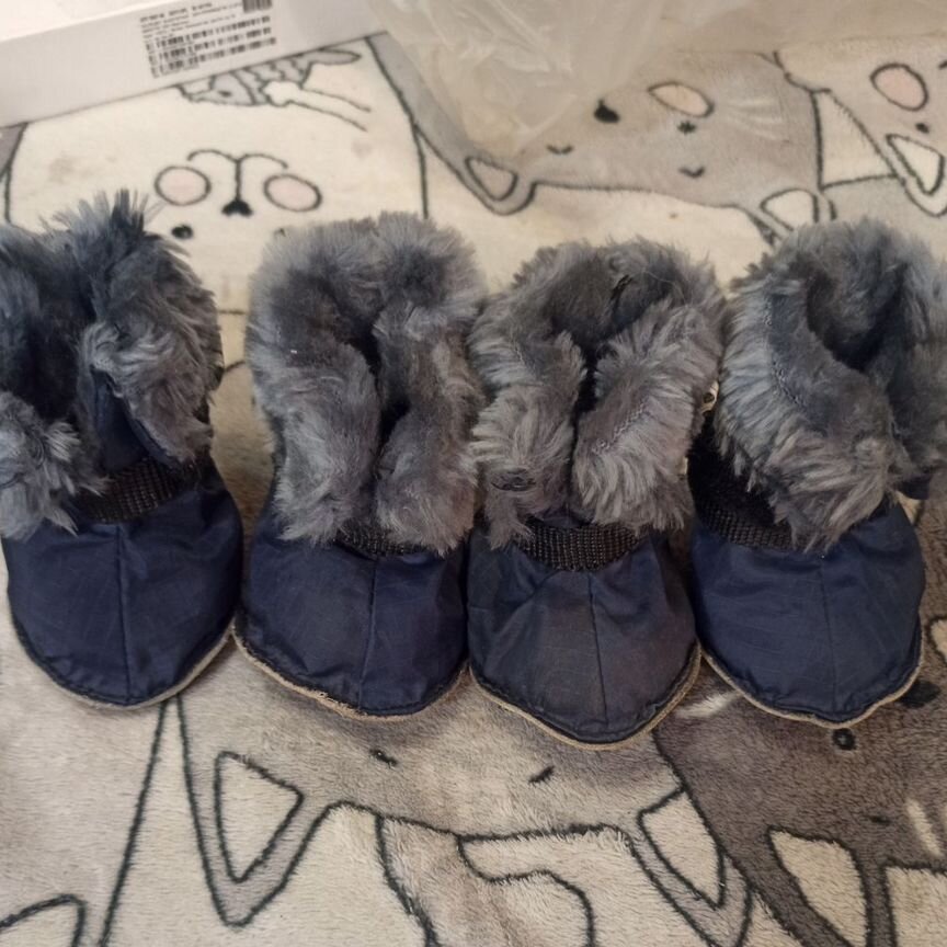 Зимние ботиночки для маленькой собачки