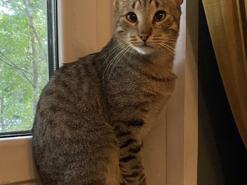 Данечка, 11 месяцев, шпротик красавец