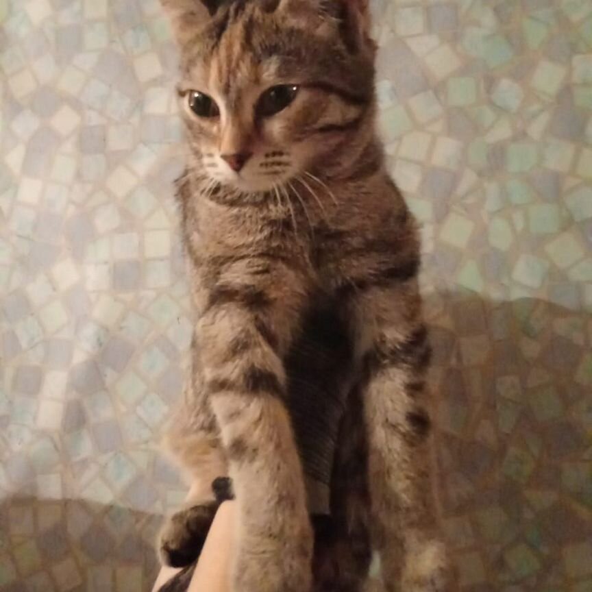 Сына- 4 месяца