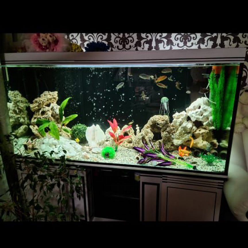 Аквариум с тумбой в комплекте
