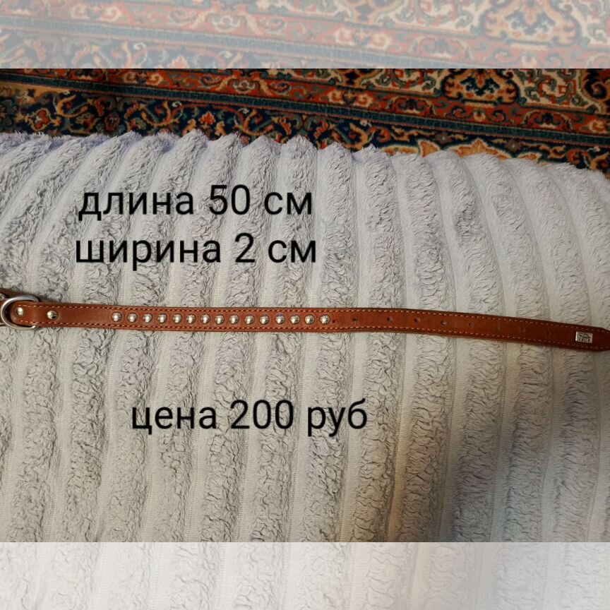 Ошейник для собак