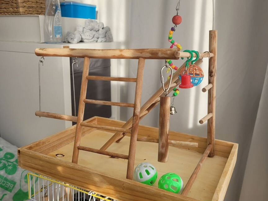 Площадка для попугаев