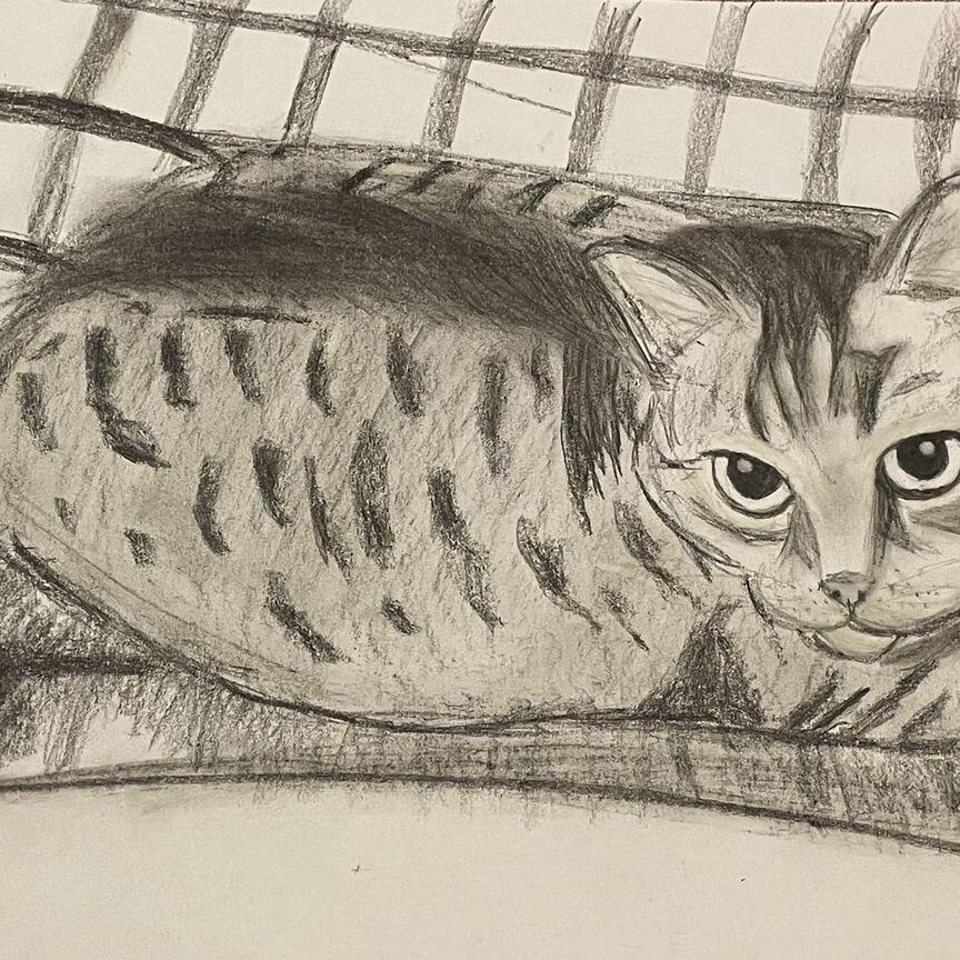 Рисую ваших питомцев