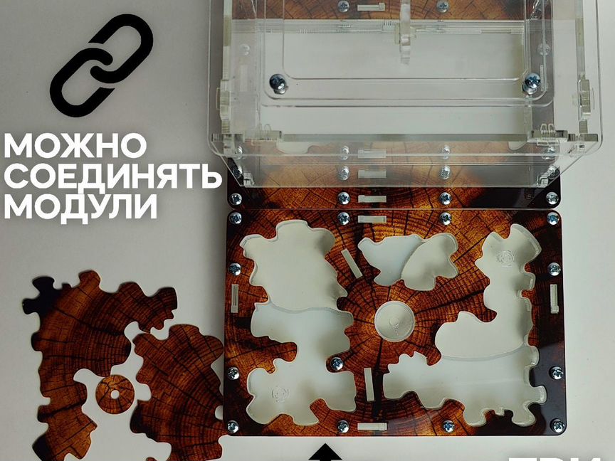 Муравьиная ферма формикарий