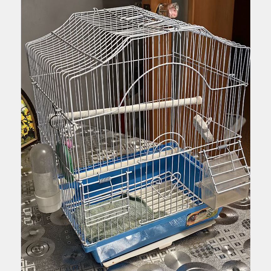 Клетка и корм для попугаев