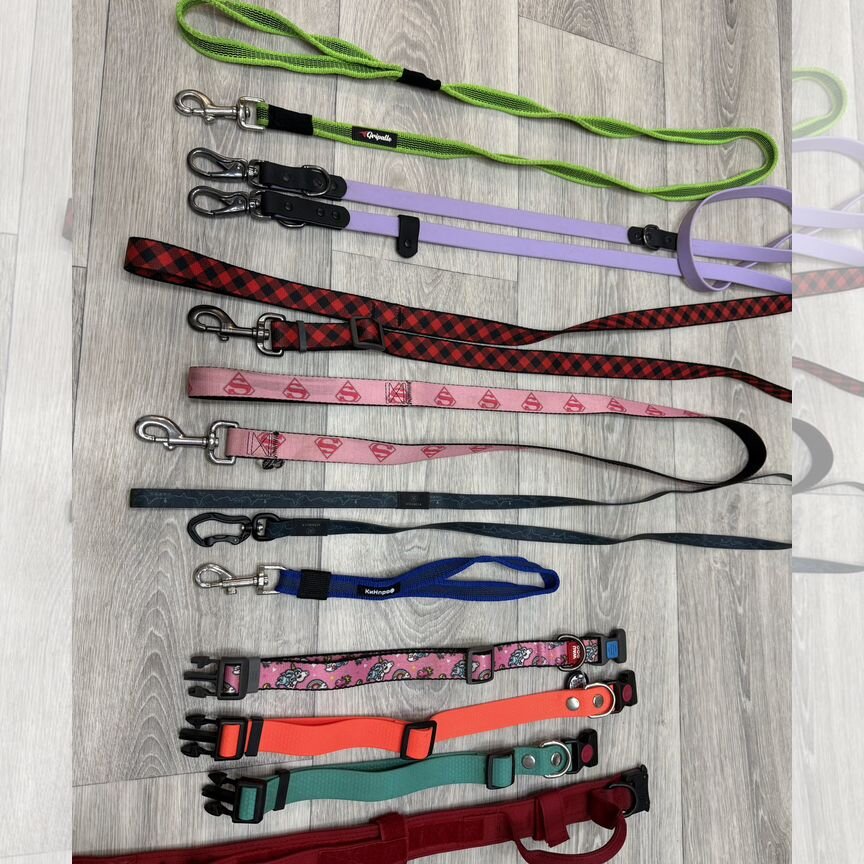 Амуниция для собак