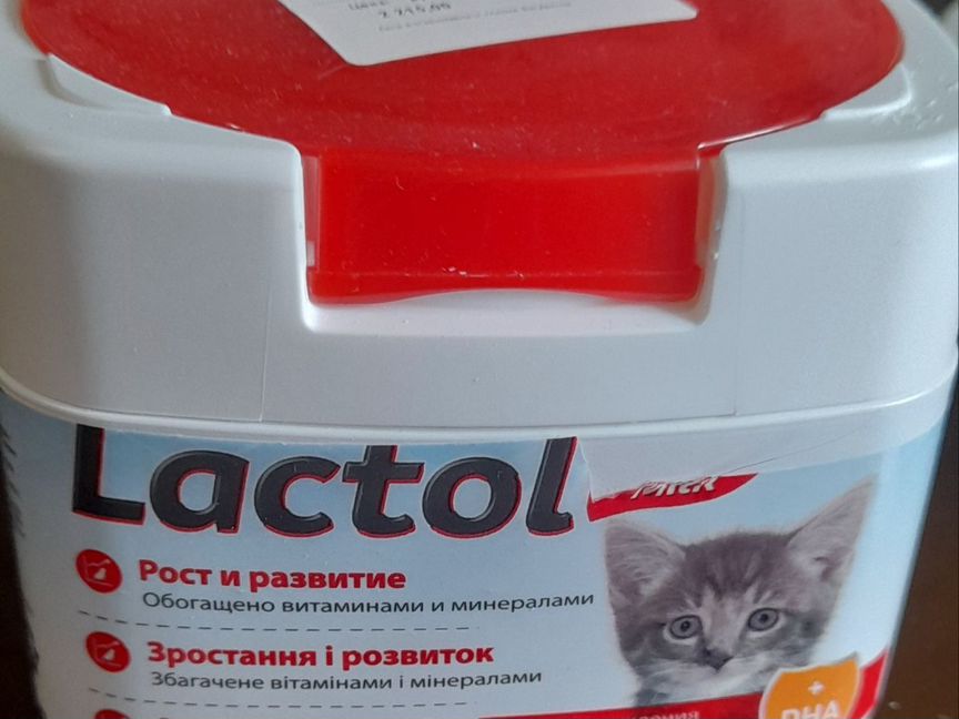 Питание для котят