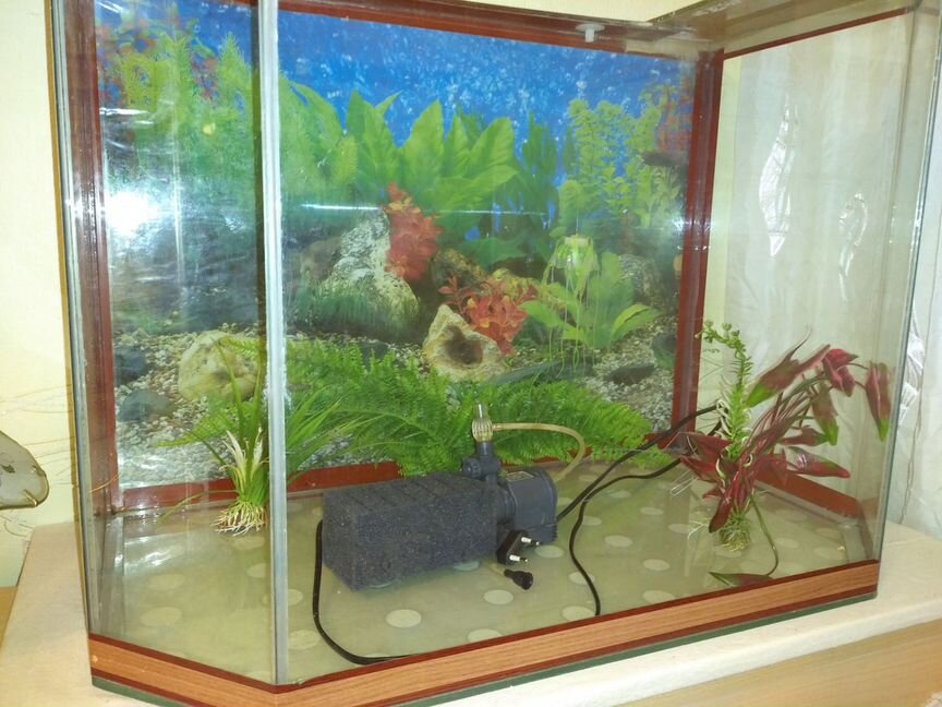 Аквариум 120 л