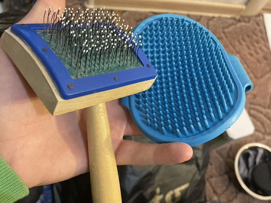 Товары для собак