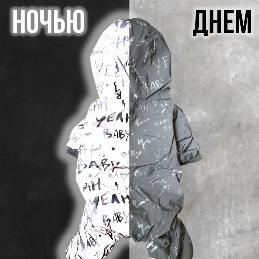 Одежда для собак