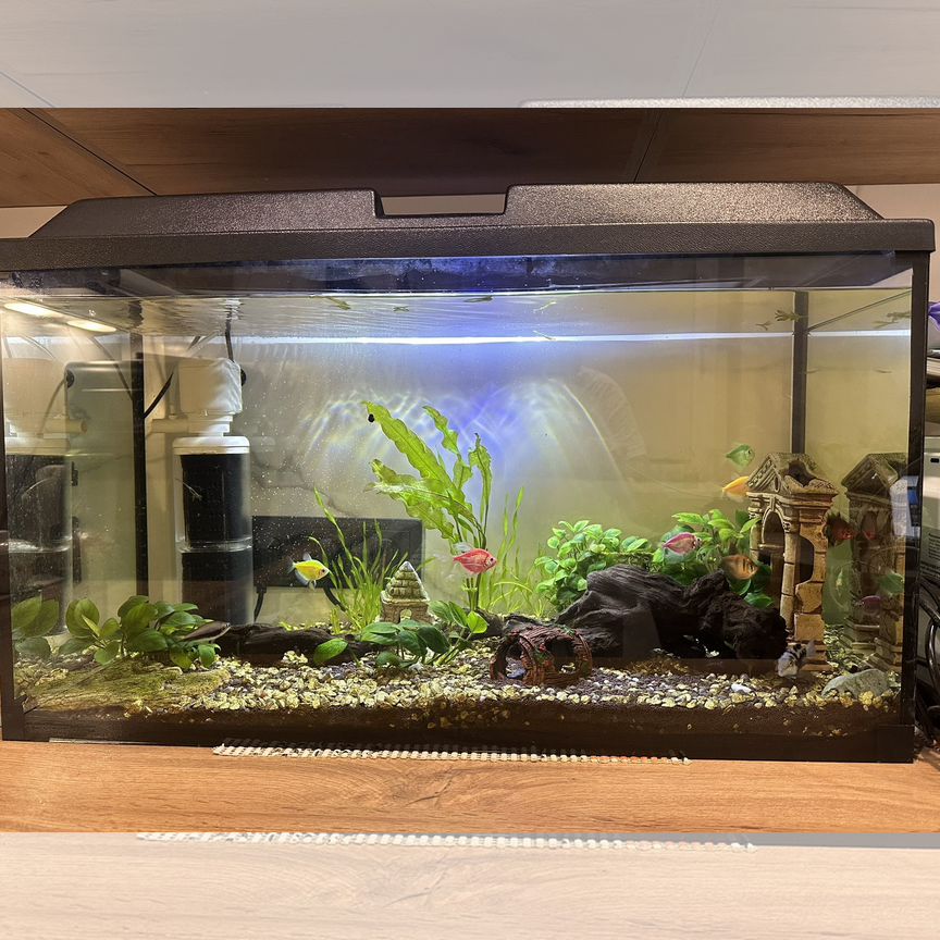 Продам аквариум с рыбками 100л