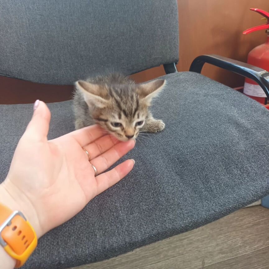 Мальчик 1.5 месяца