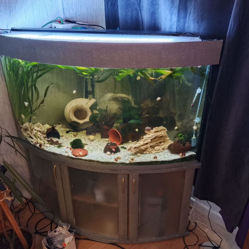 Акварик на 350 литров с тумбой
