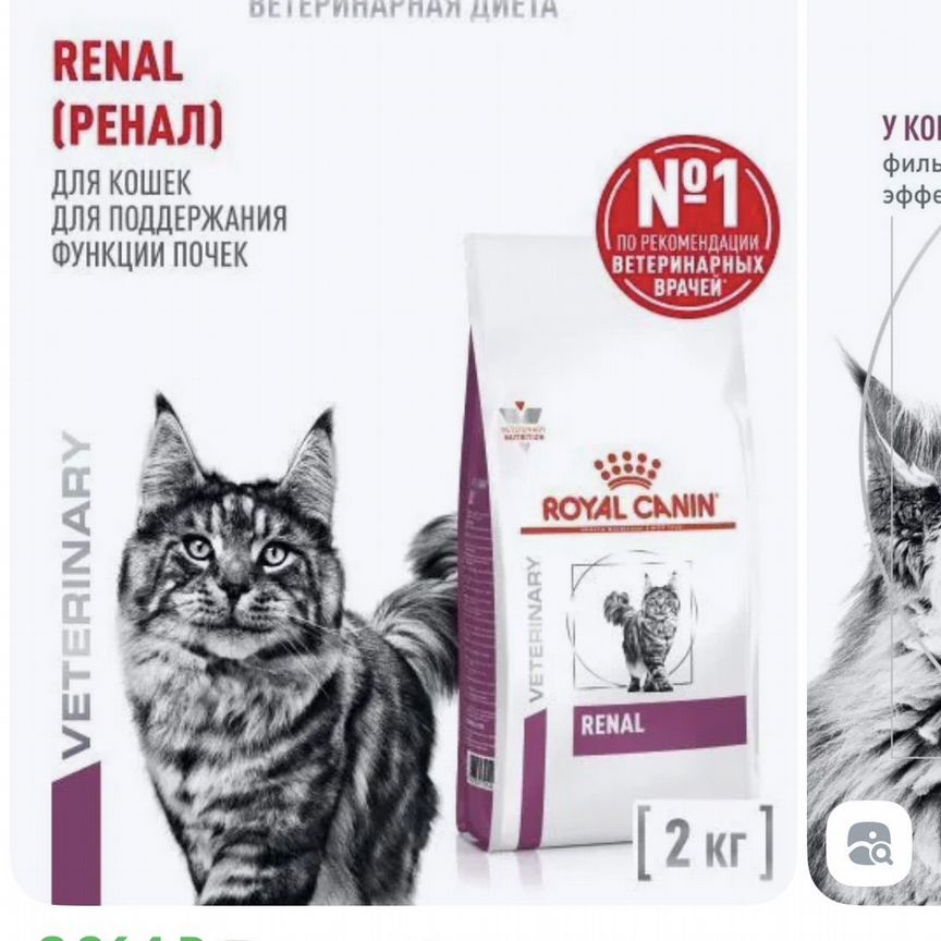 Корм для кошек royal canin renal