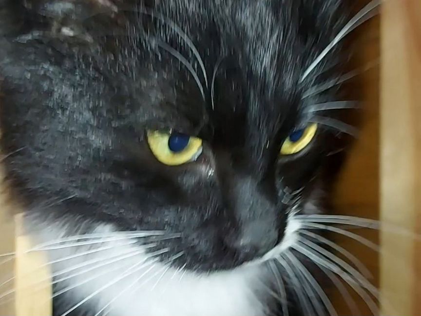 Супер Ласкуша