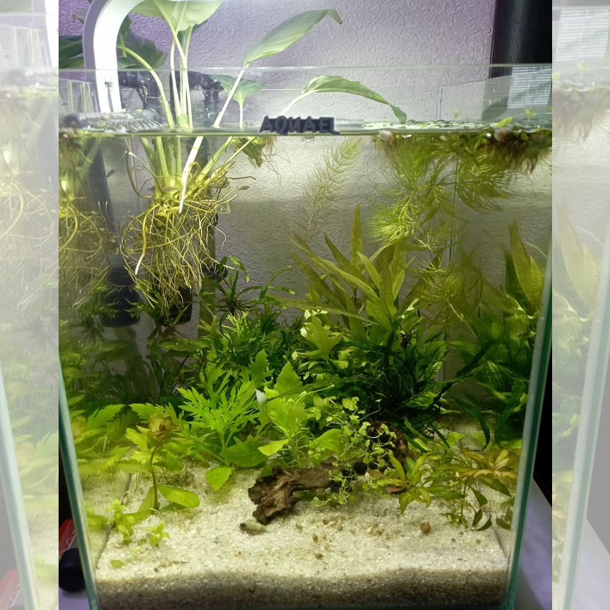 Аквариум