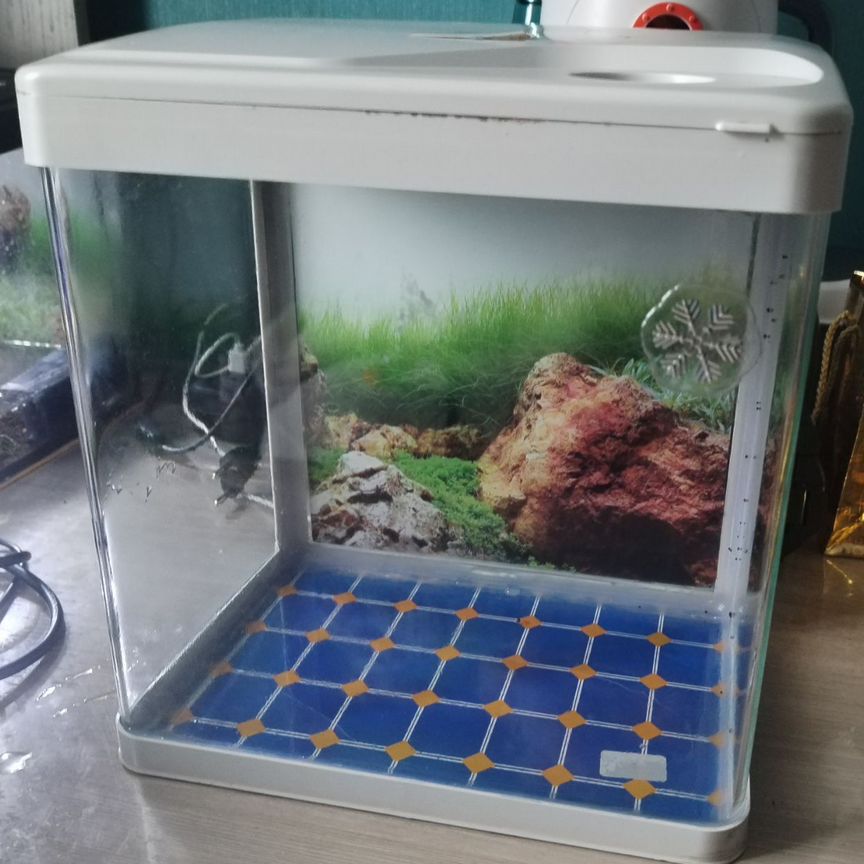 Аквариум 10л
