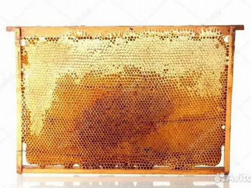 Рамки с сушью на 300 мм