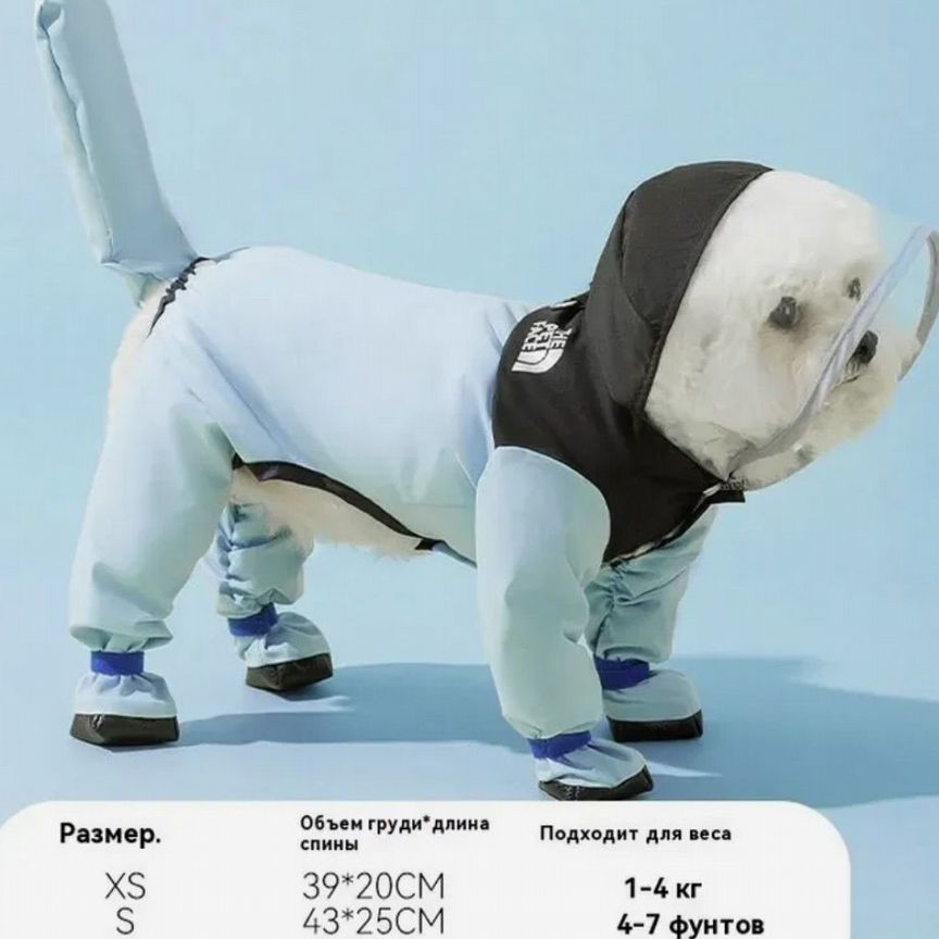 Одежда для собак
