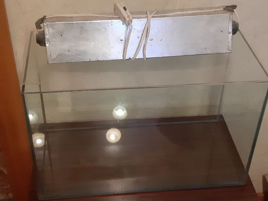 Аквариум