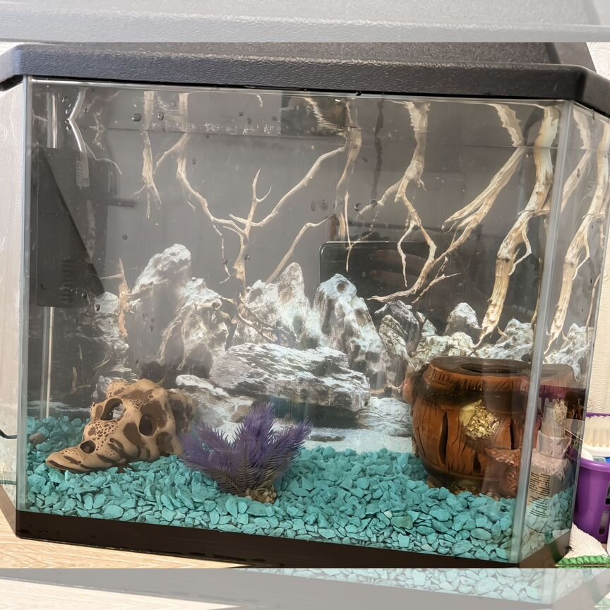 Аквариум с рыбками готовый