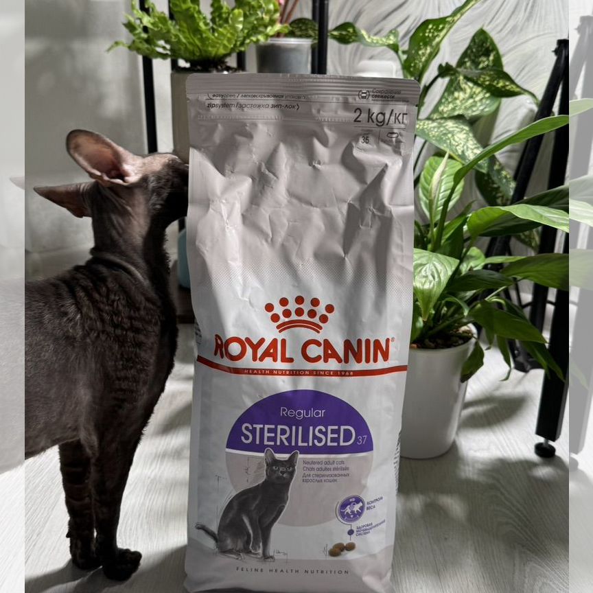 Корм сухой royal canin для стерилизованных кошек