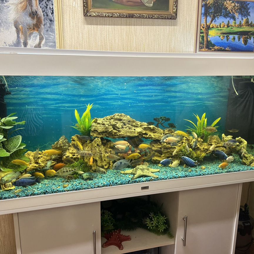 Аквариум с тумбой