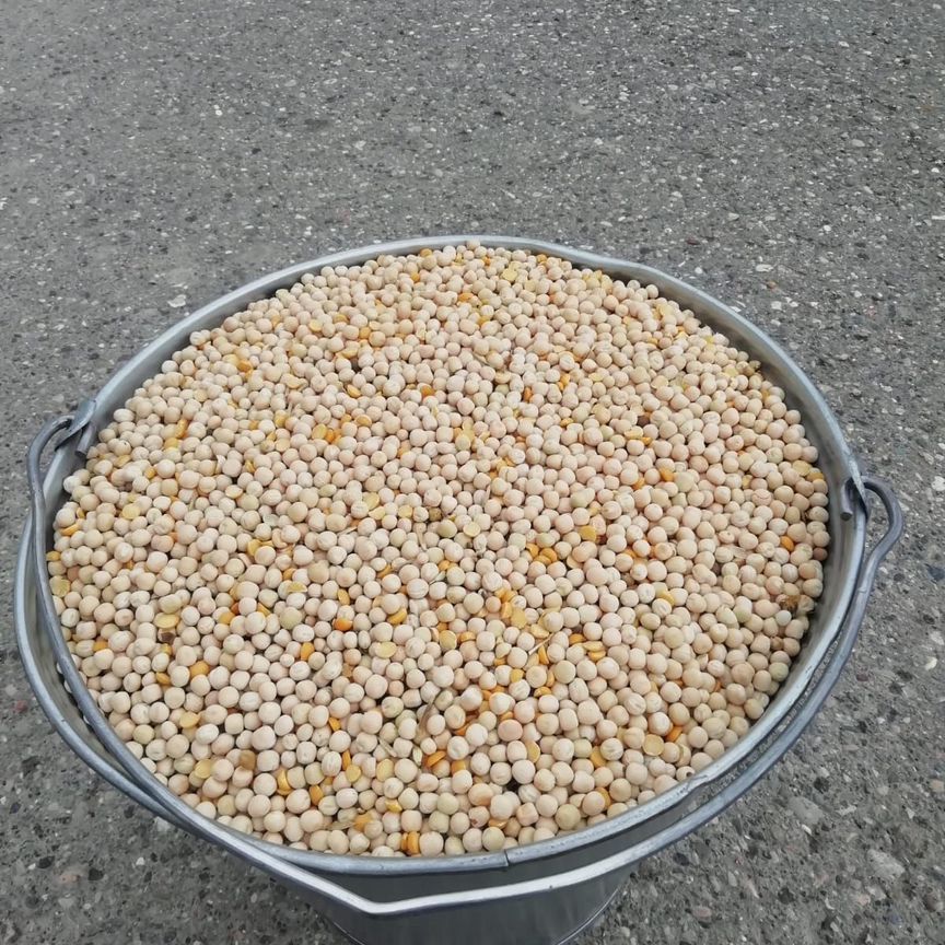 Продается горох