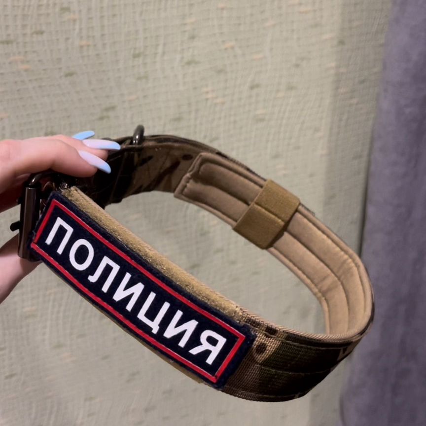 Ошейник и шлейка полиция