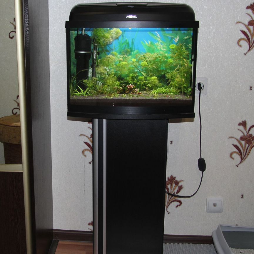 Аквариум Aquael 50 литров панорамный