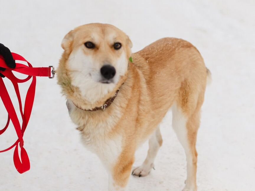 Особенная Джесс мечтает о доме и своём человеке