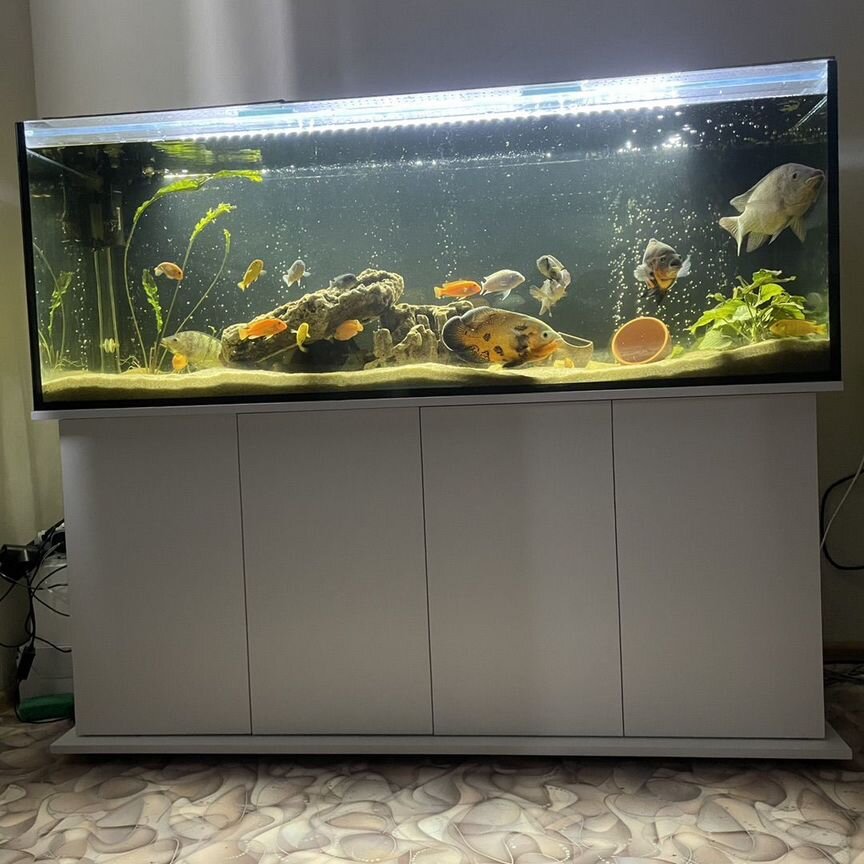 Аквариум 420 литров