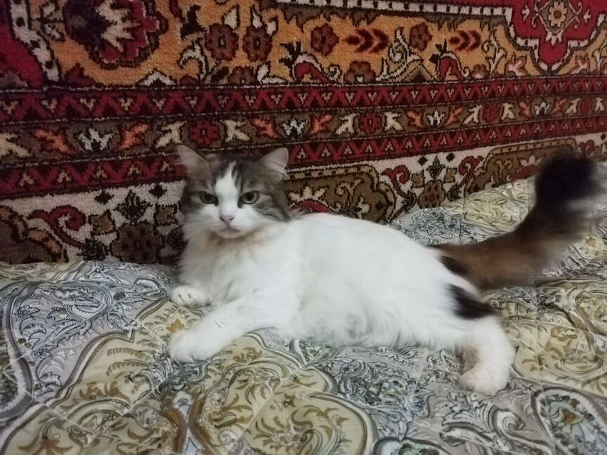 Люська
